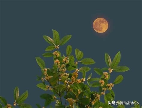 国庆节的简短文案如何在国庆节发文案 可可情感网