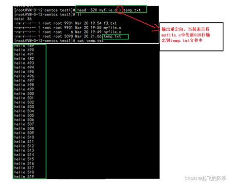 【linux】linux基本指令（下）