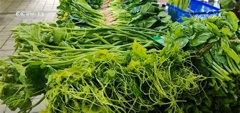 时令春菜抢鲜上市丰富各地菜篮子 市民品尝春天的味道 四川在线