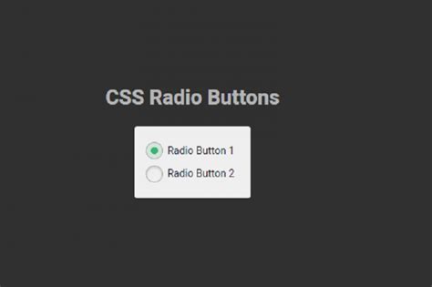 20 Css Radio Buttons 2024 Free Html Designs