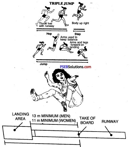 PSEB Th Class Physical Education Solutions Athletics PSEB Solutions