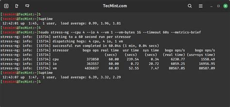 How To Stress Test Your Linux Cpu For High Load