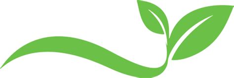 Northern Va Plant And Tree Care Services Rtec Treecare