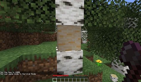 Tree Chop Mod Para Minecraft 1 16 5 Talar Arboles Mejor