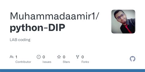 Github Muhammadaamir1python Dip Lab Coding