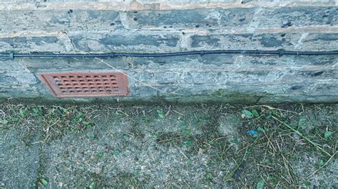 Ryobi 18V ONE Cordless Grass Trimmer Review Homebuilding