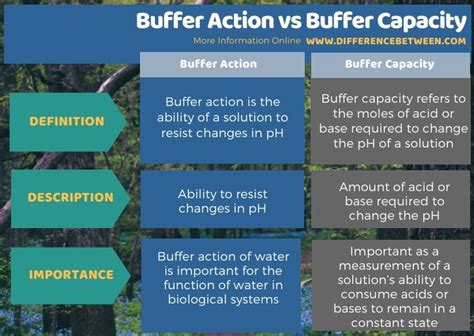 Difference Between Buffer Action And Buffer Capacity Compare The