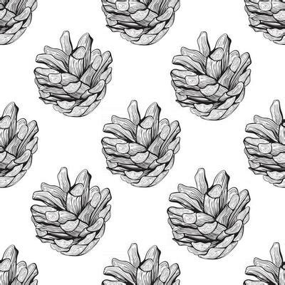 Pine Cone Vector Art Icons And Graphics For Free Download