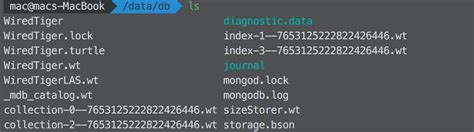 Mongodb M201 How Data Is Stored On Disk Infinite