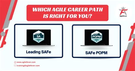 Safe Popm Vs Leading Safe Which One Is Right For You