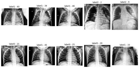 Pytorch Skeleton Code For Binary And Multi Class Classification Punn S Deep Learning Blog