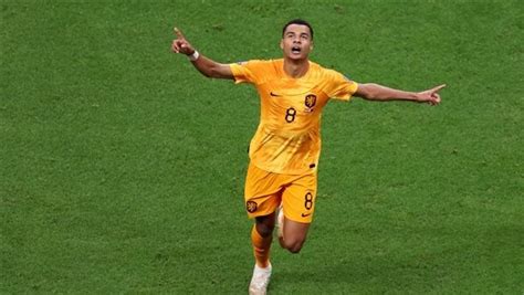 يورو 2024، تشكيل هولندا المتوقع أمام بولندا