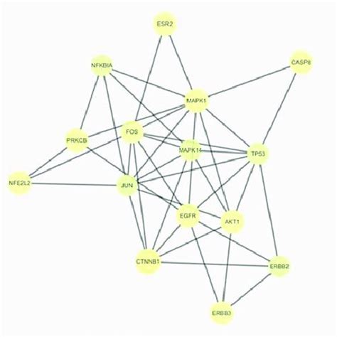 Protein Function Modules Download Scientific Diagram