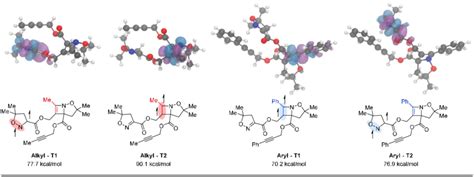 Spin Density Analysis Of Triplet Optimized States For Aliphatic And