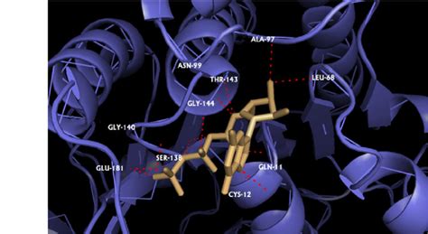 Gtp Binding Sites Residues In Bmbtp Have Been Shown In The Figure Download Scientific Diagram
