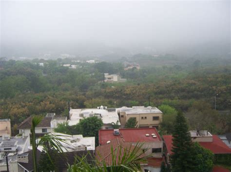 Introducing Lazyload 20 Example