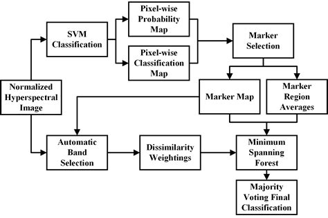 Minimum Spanning Forest Based Method For Hsi • Quantitative Bioimaging
