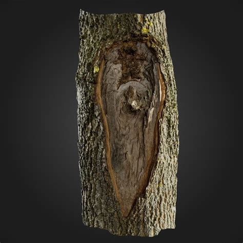 Archmodels Vol 255 3d 모델 Turbosquid 1794466