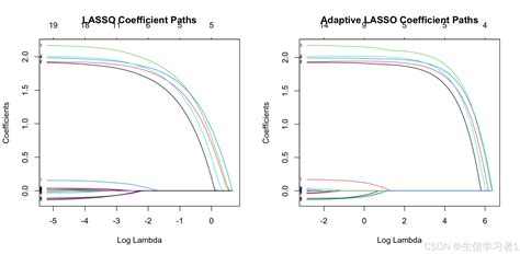 R语言机器学习算法实战系列（二十七）lasso 与 Adaptive Lasso 在特征选择中的比较与应用 自适应lasso Csdn博客