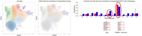 Cd4 T Cell Repertoire Features In Ra Patients With High Risk Hla Drb1