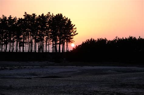 충남 태안반도 가볼만한곳 해루질 차박 가능한 운여해변 바다 앞 텐트촌 캠핑장 추천 후기 네이버 블로그