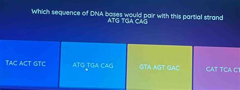 Solved Which Sequence Of Dna Bases Would Pair With This Partial Strand Atg Tga Cag Tac Act Gtc