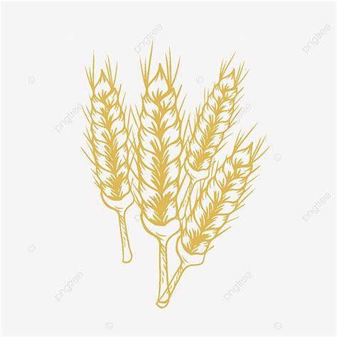 심 플 캐릭터 핸드 드로잉 보리 이삭 템 플 릿 농작물 마권 업자 밀 Png 일러스트 및 벡터 에 대한 무료 다운로드 Pngtree