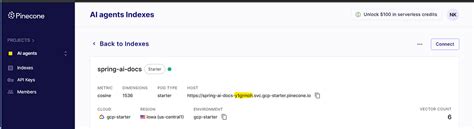Build A Chatbot Using Spring Ai With Azure Open Ai And Pinecone Vector Db By Naveen Karhana