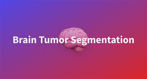 Katielink Brain Tumor Segmentation At Main