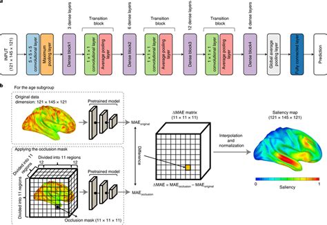 Occlusion Analysis Deep Learning At Brandi Hayes Blog