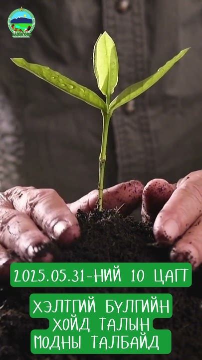 Эх үрс хамтдаа мод тарих өдөрлөг 2 Youtube