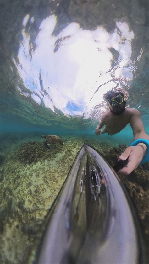 Swimming Naked With Turtles Scrolller