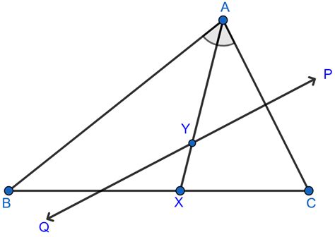 in each of the given figures pa pb and qa qb i ii knowledgeboat
