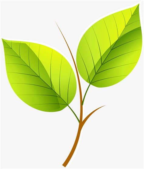 녹색 잎이 식물 장식 도안 일러스트 Png 그린 만화 나뭇잎 이미지 벡터 Psd 파일 Pngtree 나뭇잎 카드 도안 녹색
