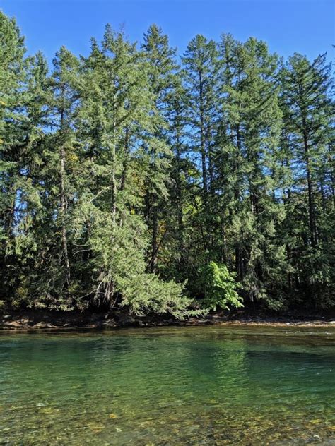 23 Of The Best Things To Do In Courtenay Vancouver Island Off Track