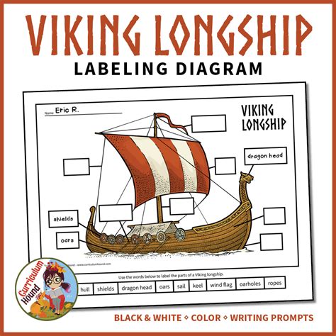 Viking Longship Diagram