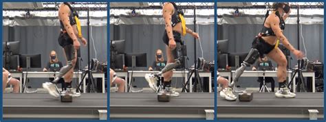 Experimental Setup And A Representative Stumble Perturbation Recovery Download Scientific