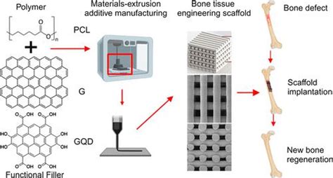用于骨组织工程的 3d 打印石墨烯和石墨烯量子点增强聚己内酯支架 Acs Applied Nano Materials X Mol