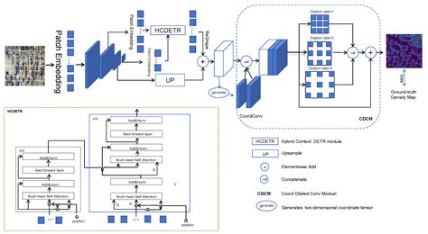 Cc Detr Detr With Hybrid Context And Multi Scale Coordinate
