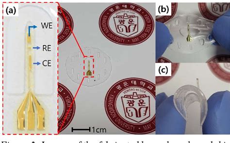 Figure 3 From Skin Attachable And Implantable Polymer Microneedle Biosensor For Continuous