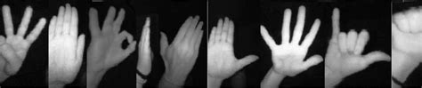 Multi Modal Dataset For Hand Gesture Recognition Kaggle