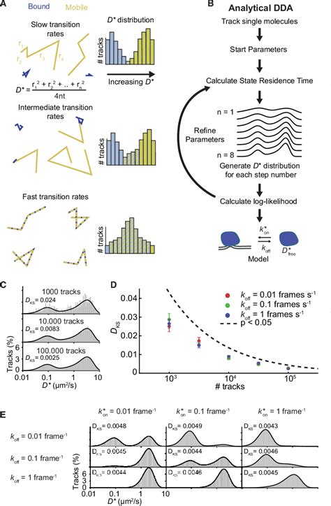 Figure 1 From Extracting Transition Rates In Particle Tracking Using Analytical Diffusion