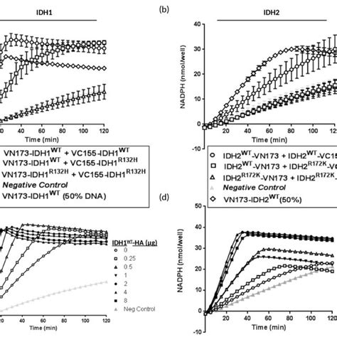 Dimerization Schematics For Wild Type And Mutant Idh1 And Idh2 Homo And