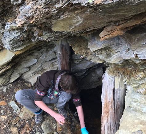 Subsurface Life In Deep Aquifers And Impact Of Microbial Activity On Karstification Processes