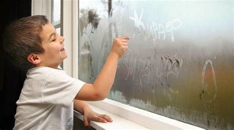 Як позбутися конденсату на вікнах дієві поради Новости Section Ukr Net