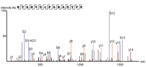 Ms Based Protein N Terminal Sequence Analysis Service Mtoz Biolabs