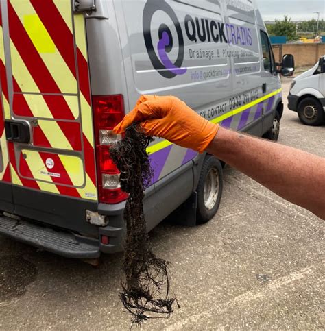 Quick Drains Manchester 24Hr Tree Roots In Drains Cutting Removal