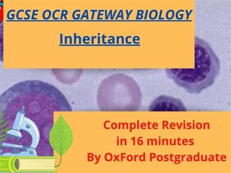 Gcse Ocr Biology Inheritance Complete Revision Summary Teaching Resources