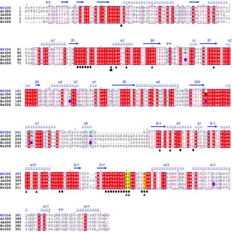 structure based sequence alignment of mfidh with other dimeric idhs