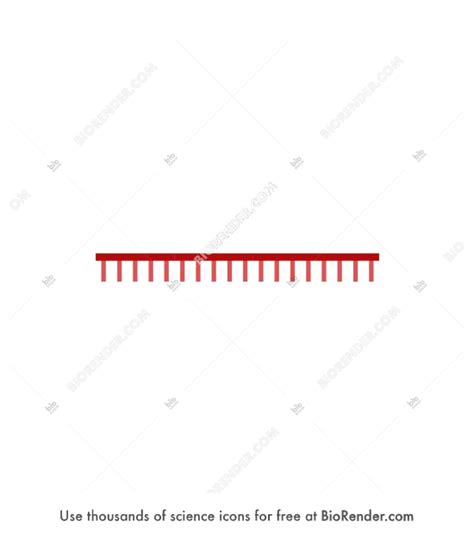 Free Dna Primer Icons Symbols And Images Biorender